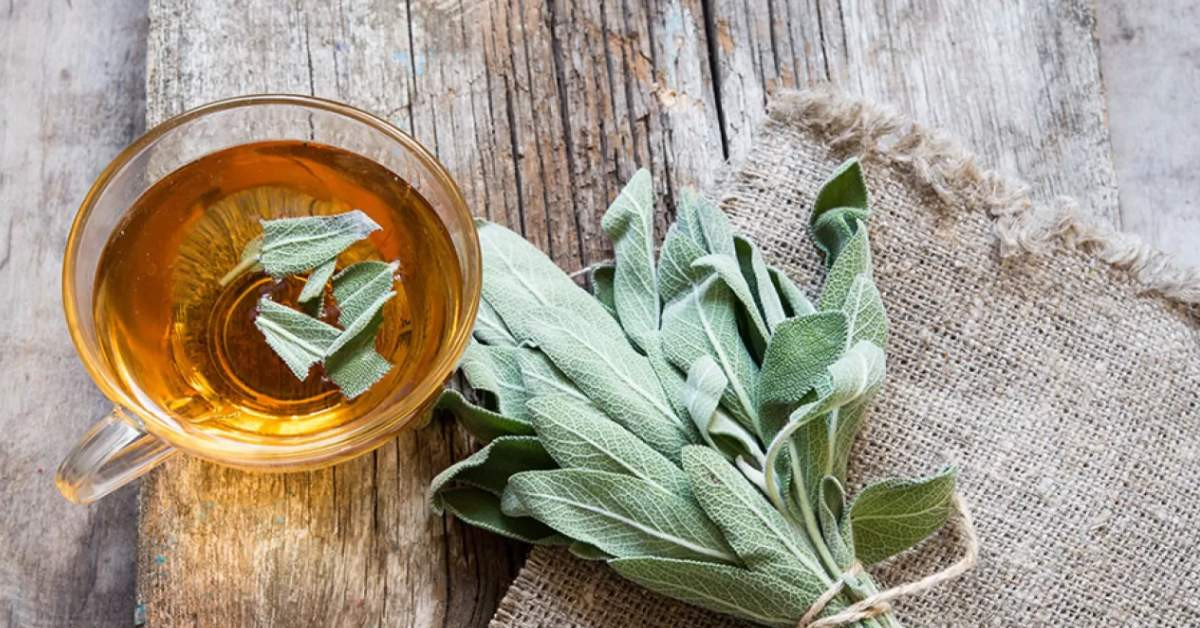 Ada çayı neye iyi gelir, zayıflatır mı? Ada çayı nasıl tüketilir ...