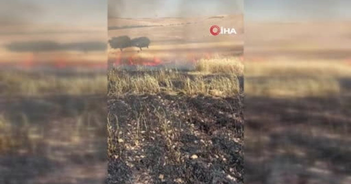 Çınar'da tarlada yangın: 200 dönüm buğday yandı - Haber365