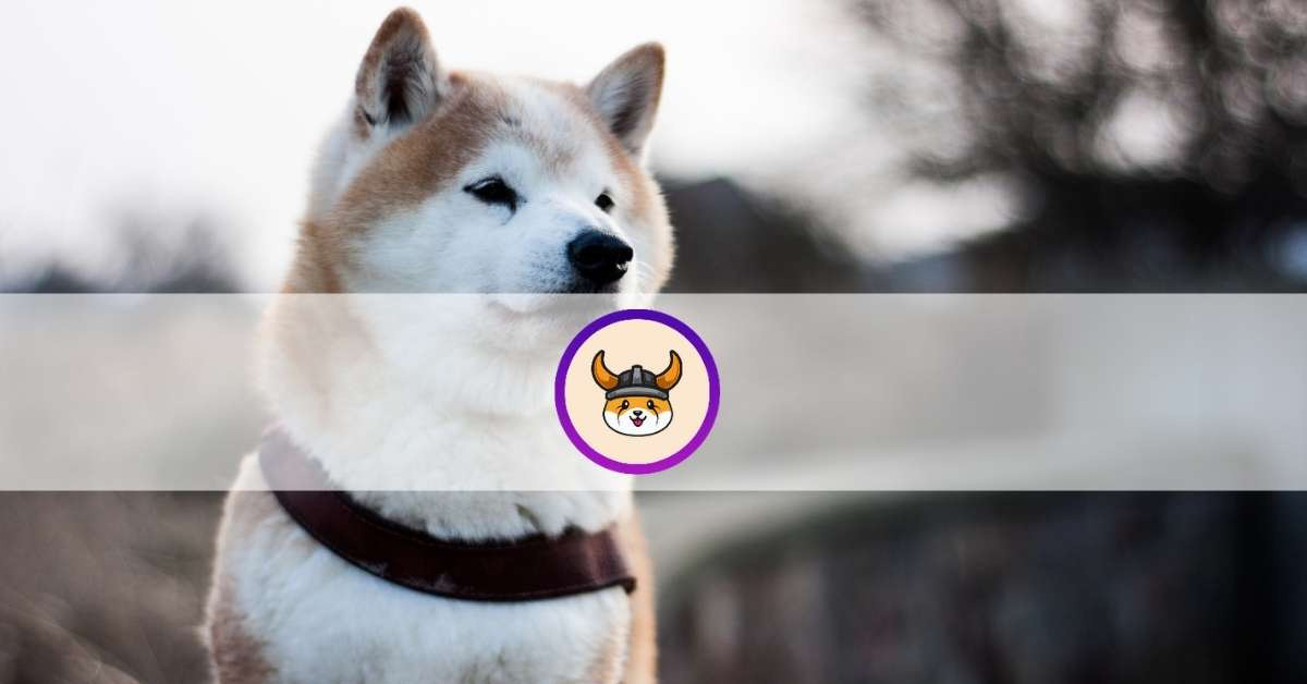 Floki Inu Nedir, Floki Inu Yorumu Nasıl? - Haber365