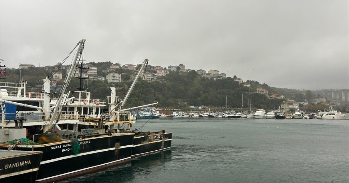 Poyraz Mahallesi: İstanbul'un Saklı Balıkçı Köyü - Haber365