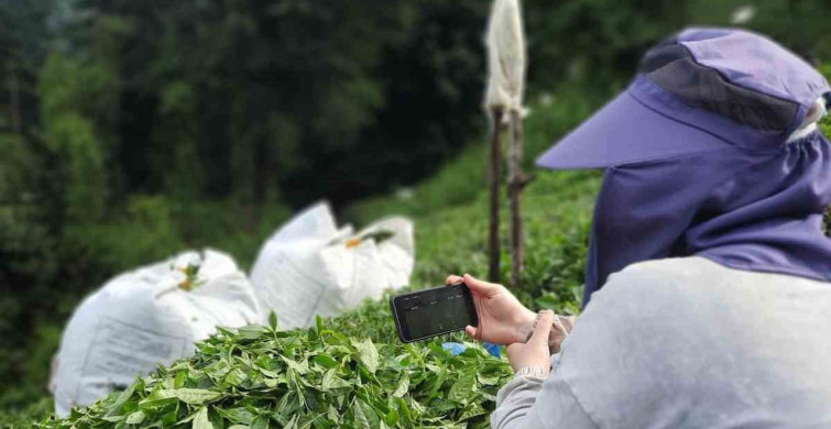 Rize'deki çay bahçelerinde milli maç heyecanı - Haber365