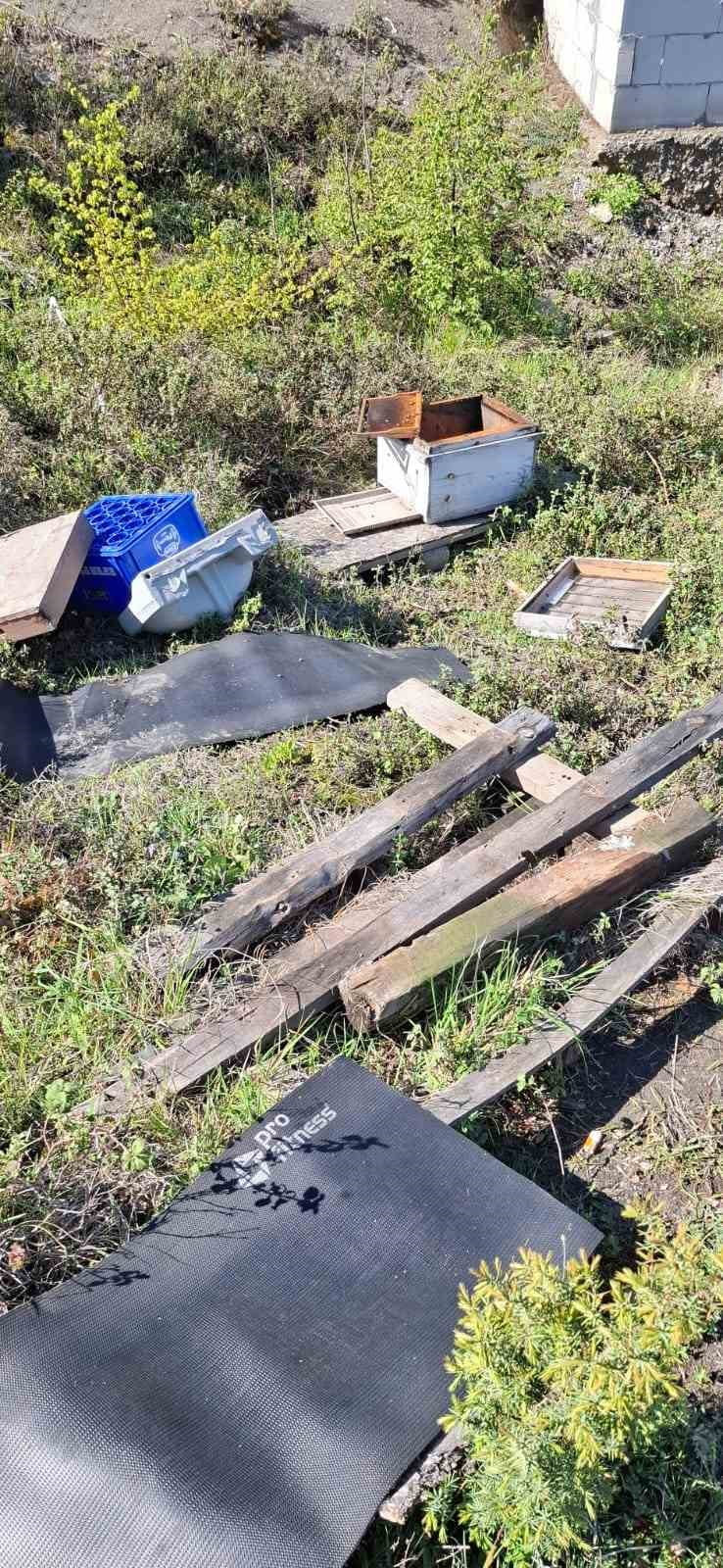 Zonguldak'ta Ayıların Arıcılara Saldırısı - Haber365